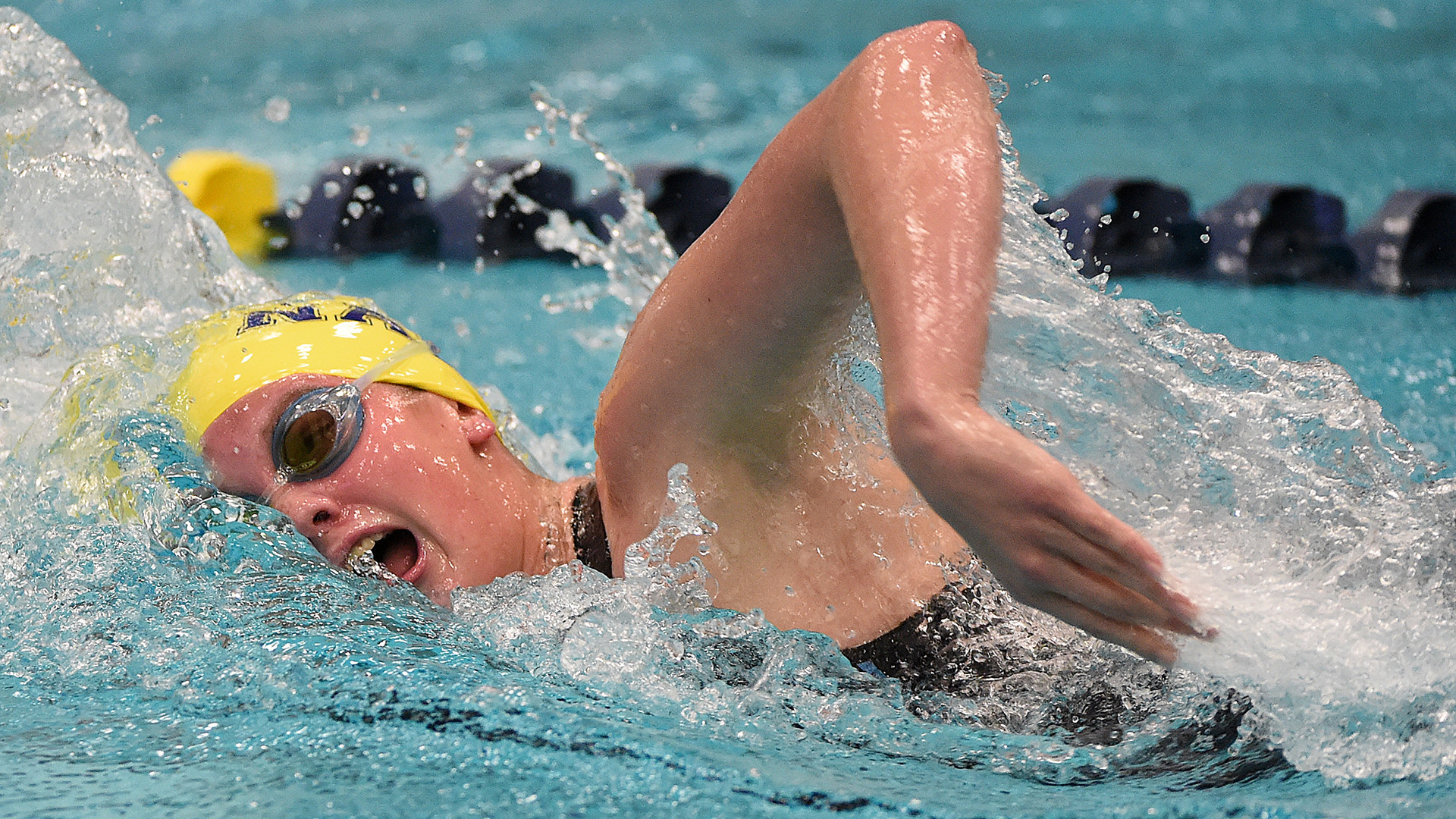 Women's Swimming & Diving 2023-24 - Army Navy Game